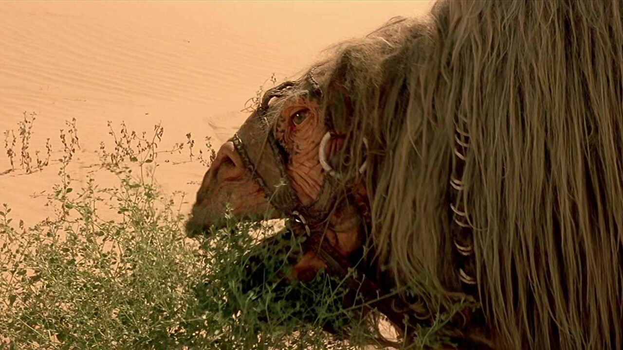 Animaux Stargate - Stargate-Fusion.com